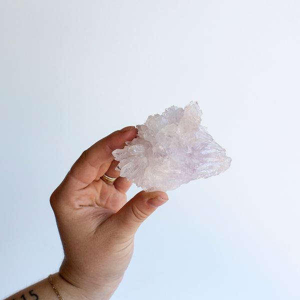 Amethyst Flower - Botanicalife